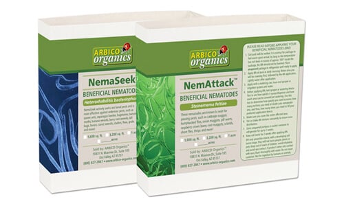 When to Apply Nematodes in Controlling Grubs and Larvae?