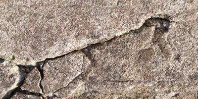 Can Oak Tree Roots Damage Foundation? (Tips Included) | LTE