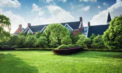 The 11 Biggest Differences Between Trees vs Plants (...Full List)