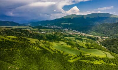 7 Main Reasons Why Trees Are Important (by Tree Enthusiasts)