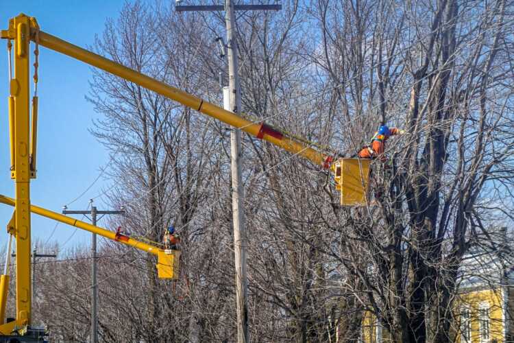  Why Is Tree Removal So Expensive Local Tree Estimates